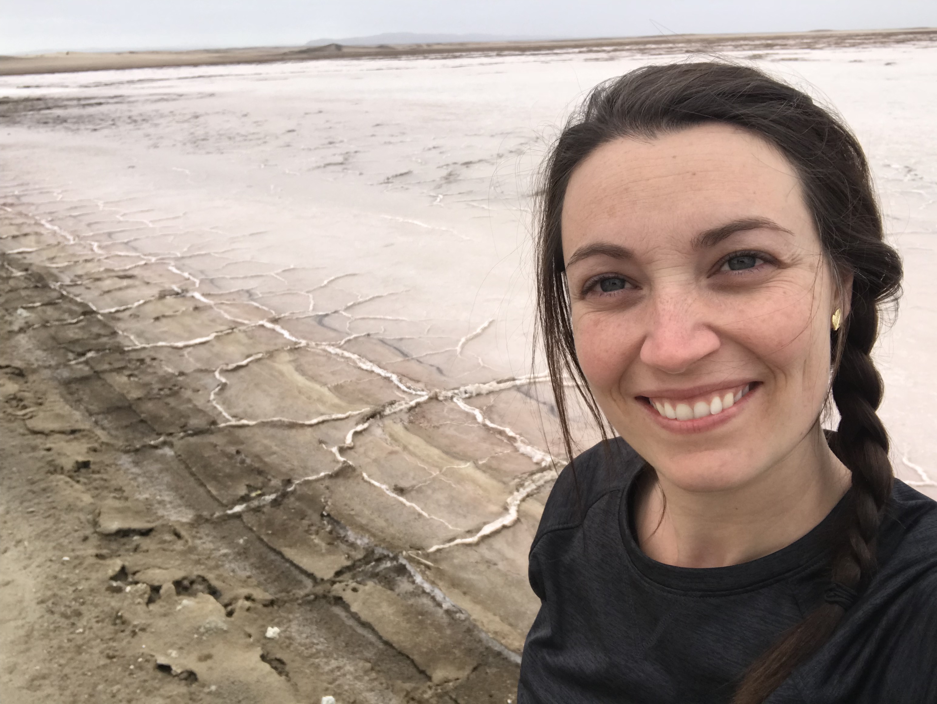 C23D35D8-CE1D-467C-A609-E43E37879320 – WILD OR NOT